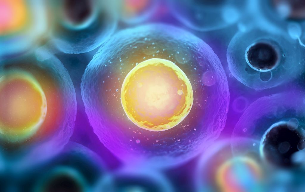 Nukleus Mainz: Wie geht es mit dem Biotechnologie-Ausbau voran ...
